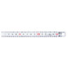 Shinwa stainless steel ruler 15 cm 13005 - Japansaegenshop.com